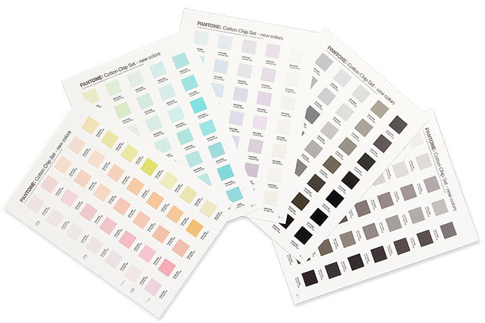 Upgrade to CorelDRAW Graphics Suite | CorelDRAW