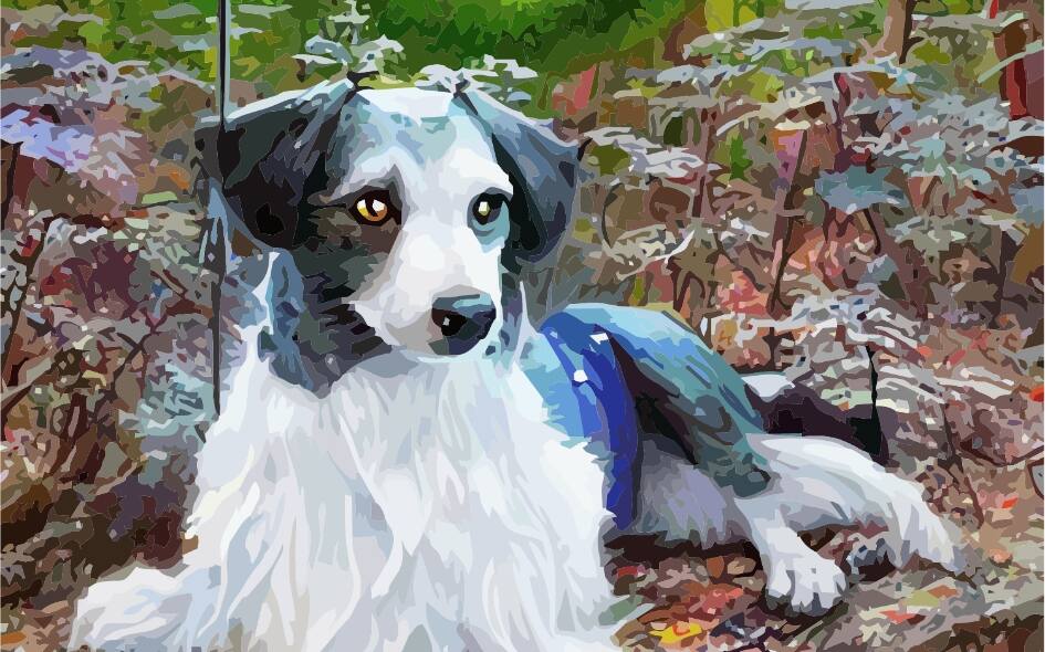 AI art generator – Vision FX | CorelDRAW Graphics Suite